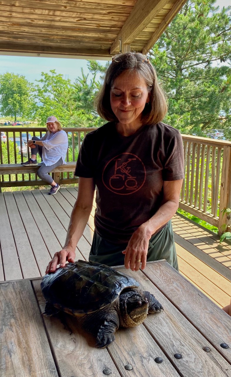 Fun Meeting Turtles - The Friends of Sherwood Island State Park ...